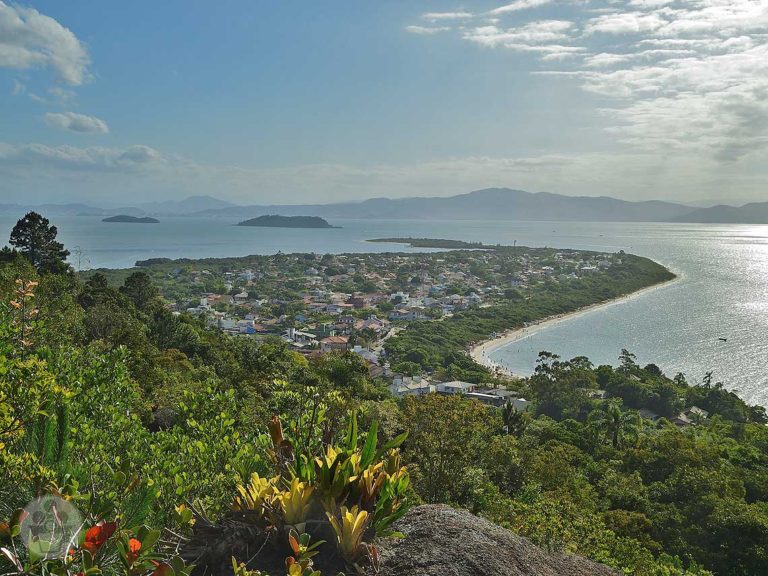 Praia Daniela em Florianópolis - Melhores Dicas [2024]